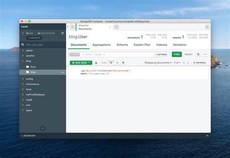内省：mongodb 和 Typescript Prisma 文档 Prisma 中文