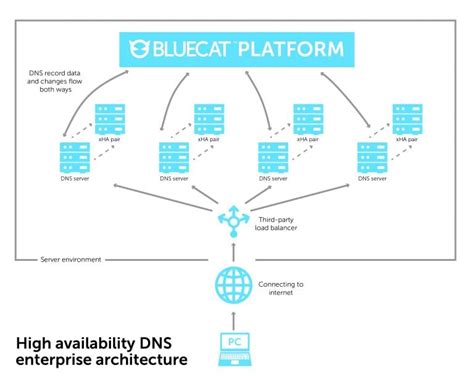 Banish Network Downtime With Dns High Availability Bluecat Networks