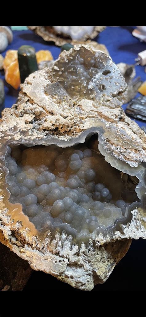 Fossilized Coral Botryoidal R Mineralporn