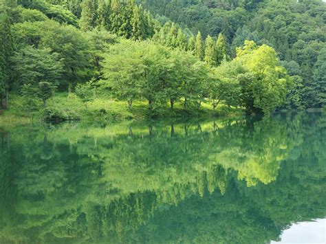 新緑のリフレクション 中綱湖 大町市観光協会