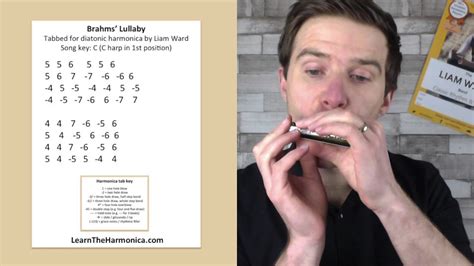 Easy Harmonica Tabs For Beginners