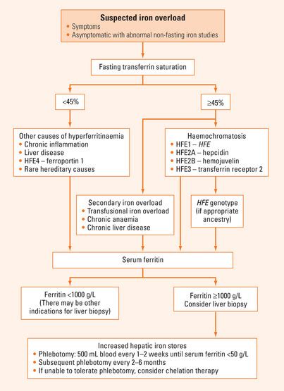 Suspected Iron Overload Or High Serum Ferritin Abdominal Key