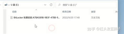 Bitlocker到底有什么用？被蓝屏锁定了如何恢复？ 知乎