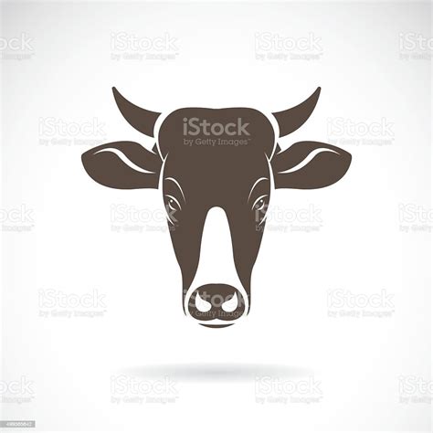 Gambar Sapi Vector 56 Koleksi Gambar