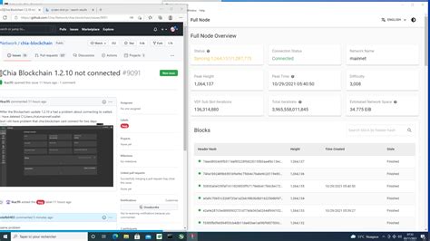 Bug Chia Blockchain 1210 Not Connected · Issue 9091 · Chia Network