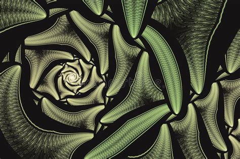 A Green Swirling Pattern Of Curved Shapes On A Black Background Stock