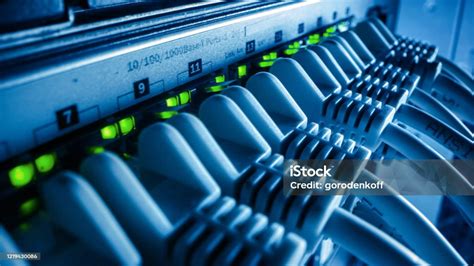 매크로 샷 깜박이는 표시등이 있는 라우터 포트에 연결된 이더넷 데이터 케이블 통신 Rj45 인터넷 커넥터모뎀 Lan 허브에 연결되었습니다 안전한 데이터 센터 시스템 작동 0