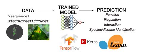 Bioinformatics Services Clemson University Genomics And Bioinformatics Facility