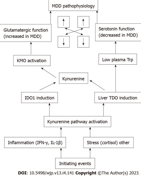 Tryptophan Metabolism
