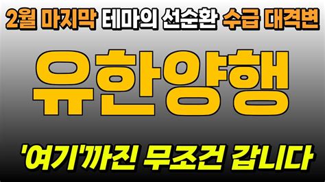 주식 유한양행 유한양행 주가전망 목표가와 높은 수익률의 비결을 알아보자 Youtube