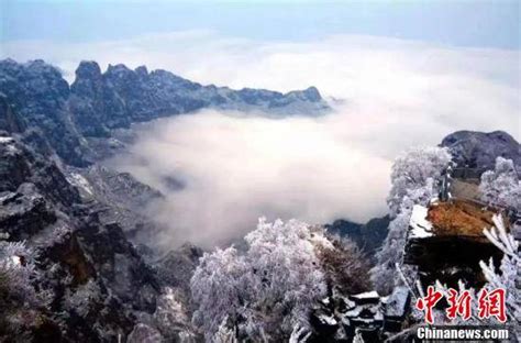 在王莽岭感受太行之巅的冬日浪漫 王焱 玉树琼花 银装素裹