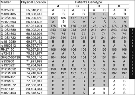 Microsatellite And Snp Genotyping Data For Four Affected Individuals Download Scientific