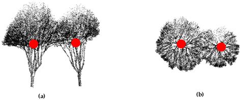 Remote Sensing Free Full Text Trunk Constrained And Tree Structure Analysis Method For