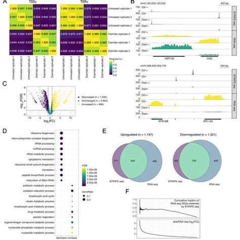 Stripe Seq Captures Differential Tsr Usage And Transcript Abundance