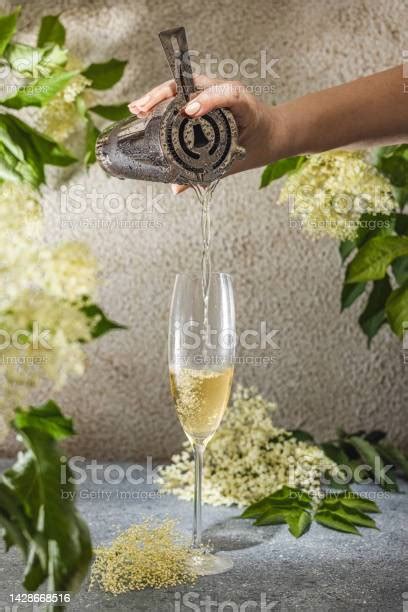 회색 테이블 표면에 재료와 바 도구로 둘러싸인 샴페인 유리에 엘더 패션 로얄 칵테일을 준비하는 진짜 여자 0명에 대한 스톡 사진 및 기타 이미지 Istock