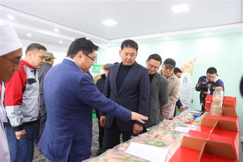 Ирэх таван жилд тахианы махны хэрэгцээг дотоодоос 100 хувь хангах боломжтой