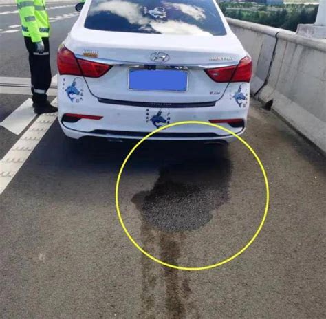 轿车后座女子突然屁股疼痛流血，已无法正常走动，竟是它干的！南国早报网 广西主流都市新闻门户