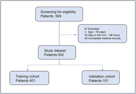 Flowchart Of Patient Selection Process Download Scientific Diagram