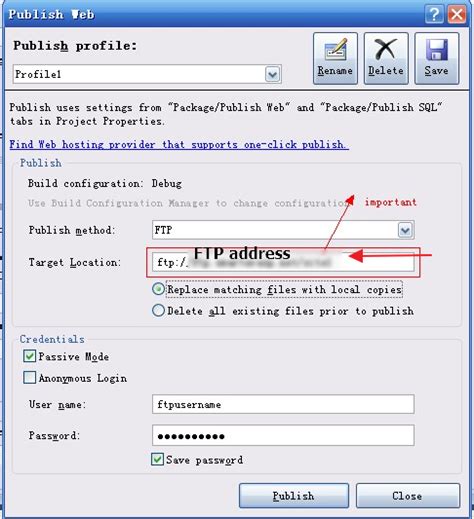 Deploying A Visual Studio 2010 Web Application Project To Our Web