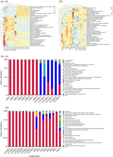 A Heatmap Of Microbial Function Pathways In Different Groups B Download Scientific Diagram