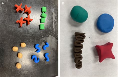 A And B Examples Of Plankton Shapes Students Will Race Photo Lisa Download Scientific A And B Examples Of Plankton Shapes Students Will Race Photo Lisa Download Scientific