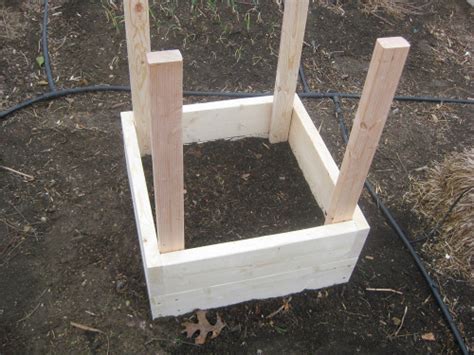 Build Your Own Potato Growing Box Fine Gardening