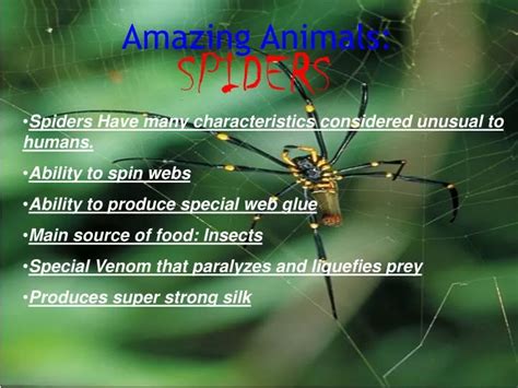Ppt Spiders Powerpoint Presentation Free Download Id 2073672