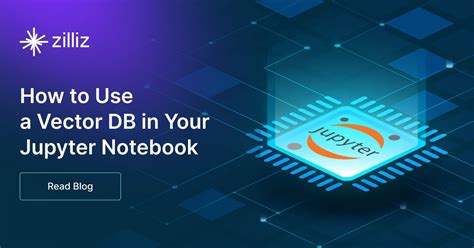 Vector Database In A Jupyter Notebook Rhypeurls