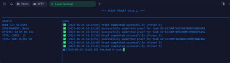 Nexus Incentivized Testnet 3 Guide How To Run A Node Via Browser Cli