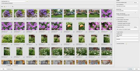 Solved Duplicates Being Created In Elements 2022 Photo Do Adobe Community 12998413