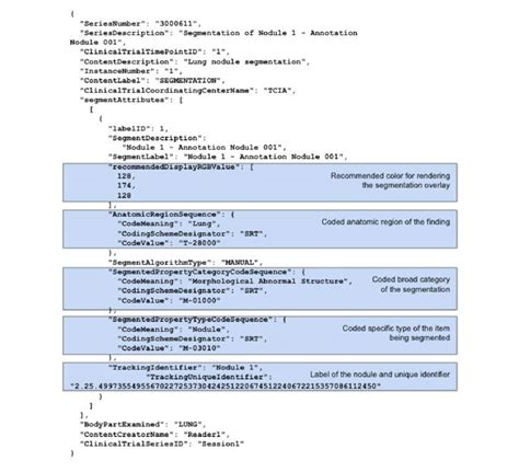 Example Json File Used To Parameterize Conversion Of A Nodule