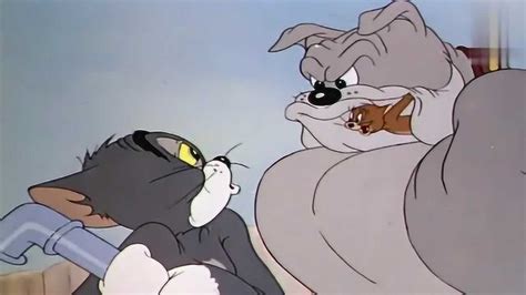 猫和老鼠：汤姆捉杰瑞遇到凶面獠牙的大狗，这下子终于老实了吧！高清1080p在线观看平台腾讯视频