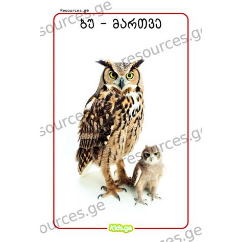 ცხოველები და მათი შვილები