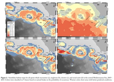 Habitat Suitability Modeling In Different Sperm Whale Social Groups Sperm Whale Habitat