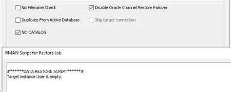 Oracle Duplicate Target User Instance Is Empty Community