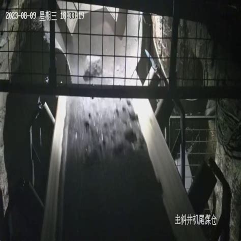 Belt Detection Object Detection Model By Belt