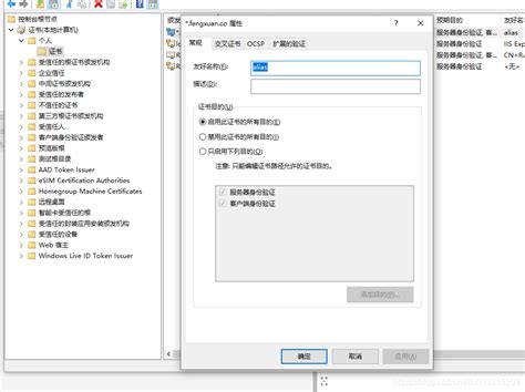 iis配置多实例作业（通配符证书） 泛域名证书 iis csdn博客