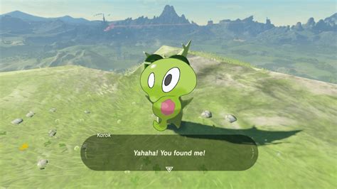 Weird Why Does My Korok Look Like A Zygarde Core R Legendsza