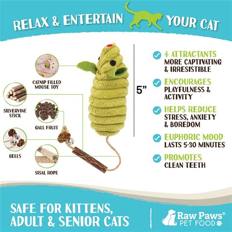 Natural Catnip Plush Mouse Cat Toys 4 Ct