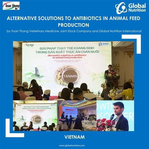 huyen nguyen posted on linkedin