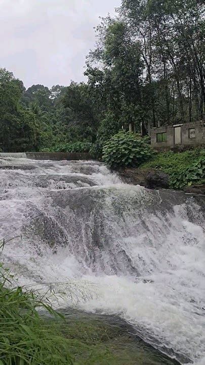 Melaruvi Waterfallsമേലരുവി വെള്ളച്ചാട്ടം കാഞ്ഞിരപ്പള്ളി Youtube