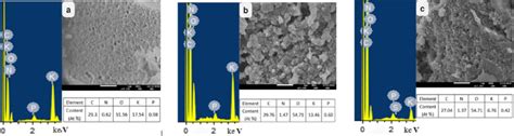 SEM Images And EDS Data Of Modified Biochars A SEM EDS Of ABC B Download Scientific