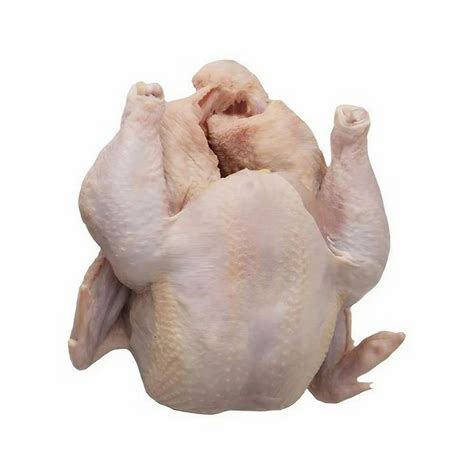 Broiler Chicken Wholesale Price And Mandi Rate For Broilers Chicken