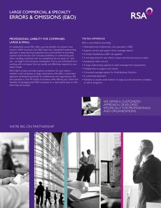 RSA Errors Ommisions PDF