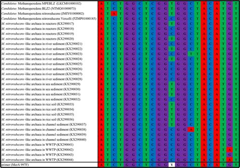 Alignment Of Primers With The Related Sequences Downloaded From Ncbi Download Scientific