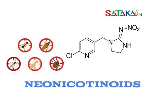 What Are Neonicotinoids Features Applications Safety