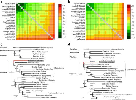 Comparison Of Completeness Of Assembled Transcriptomes For The Download Scientific Diagram