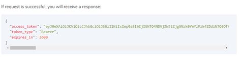 API Connector Custom Oauth2 Token Multi User Authentication APIs