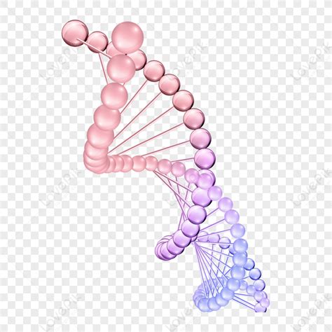 Dna 그라데이션 일러스트 추상 모델기반dna분홍 Png 일러스트 무료 다운로드 Lovepik