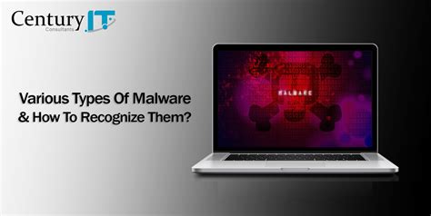 A Guide To The Various Types Of Malware And How To Recognize Them Century IT Consultant